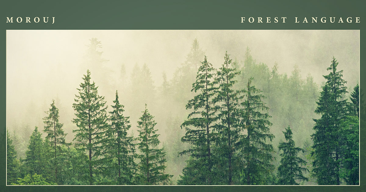 Morouj - Forest Language